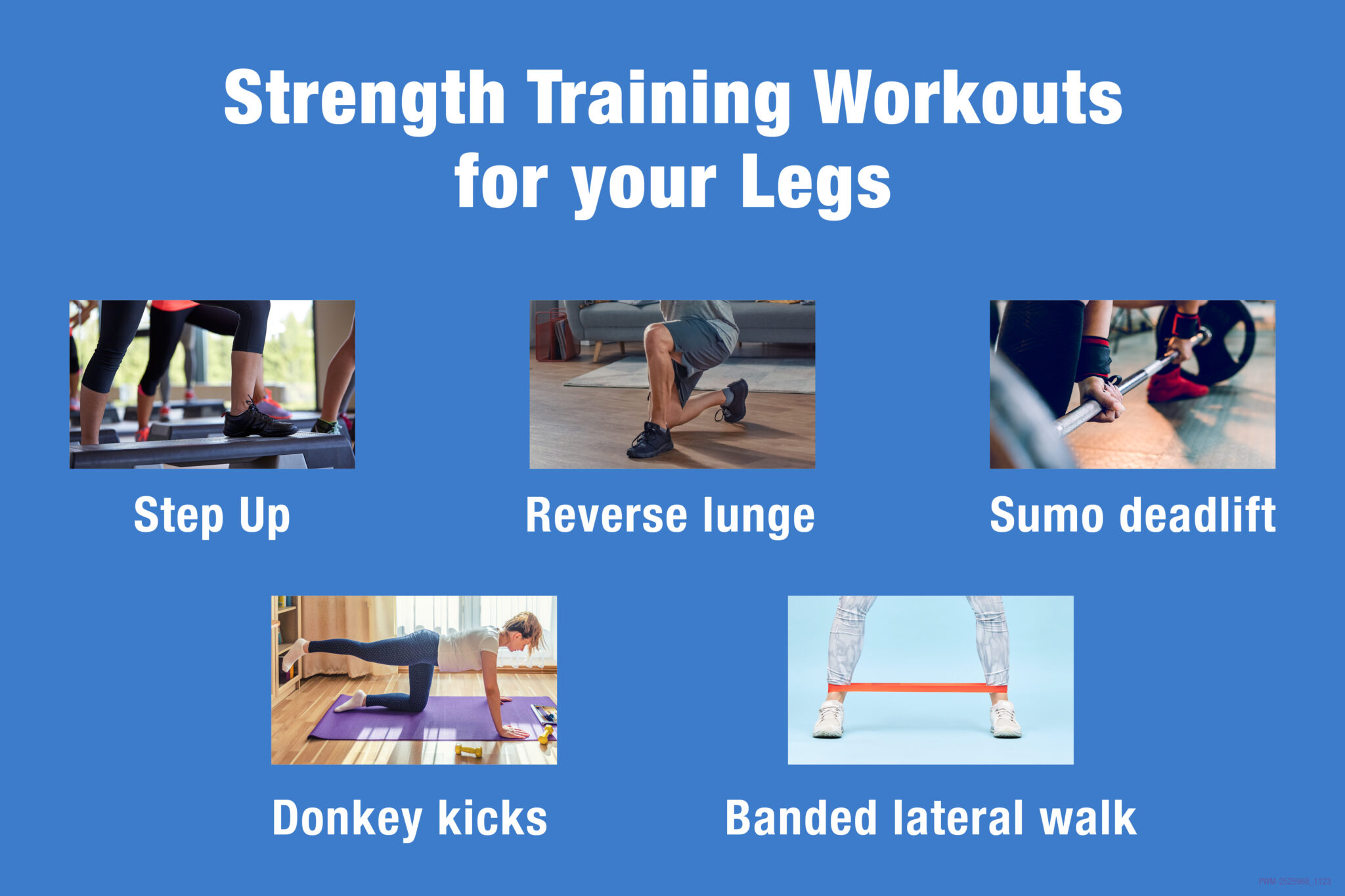 Strength Training Workouts for your Legs | The CENTRE - Rolla's Health ...